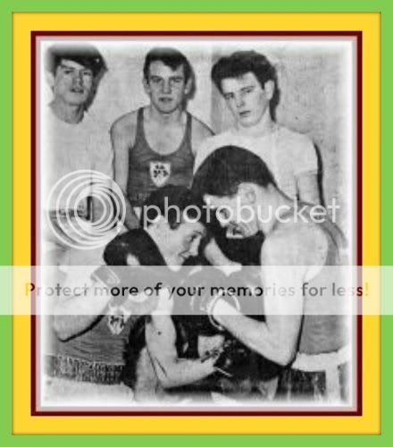 Belfast boxers