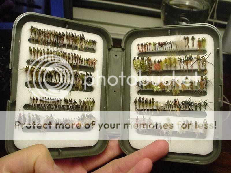 » Topic: how do you organize your fly box