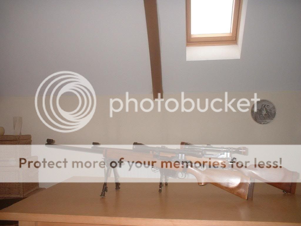 Enfield Enforcer - Enfield-Rifles.com