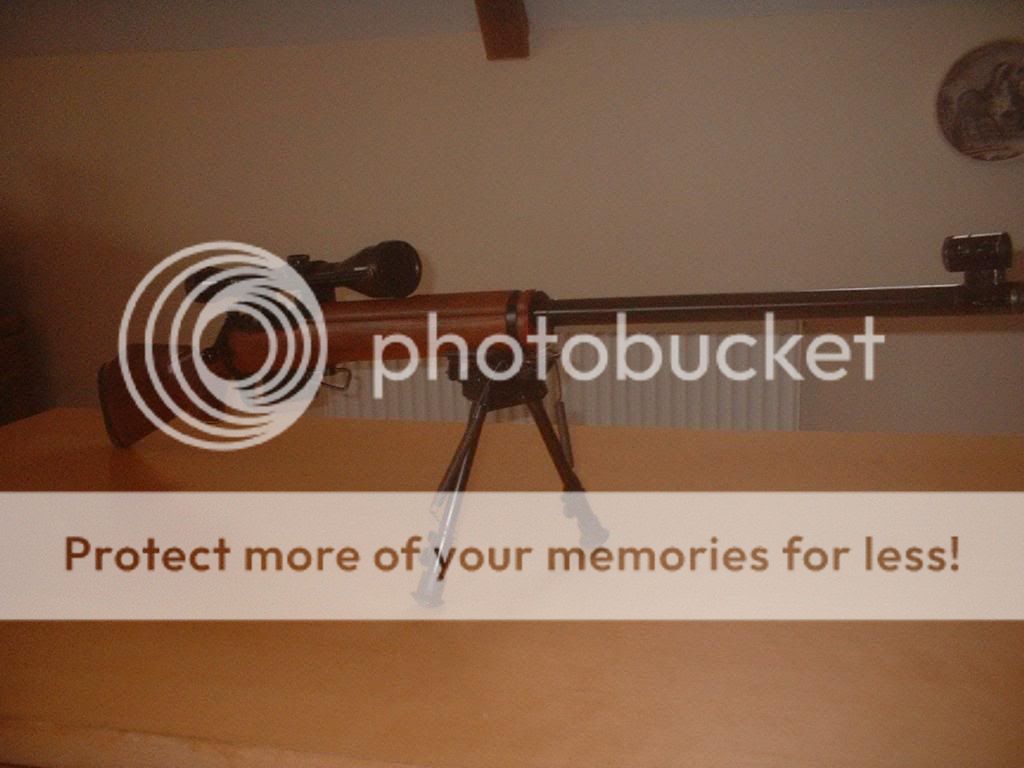 Enfield Enforcer - Enfield-Rifles.com