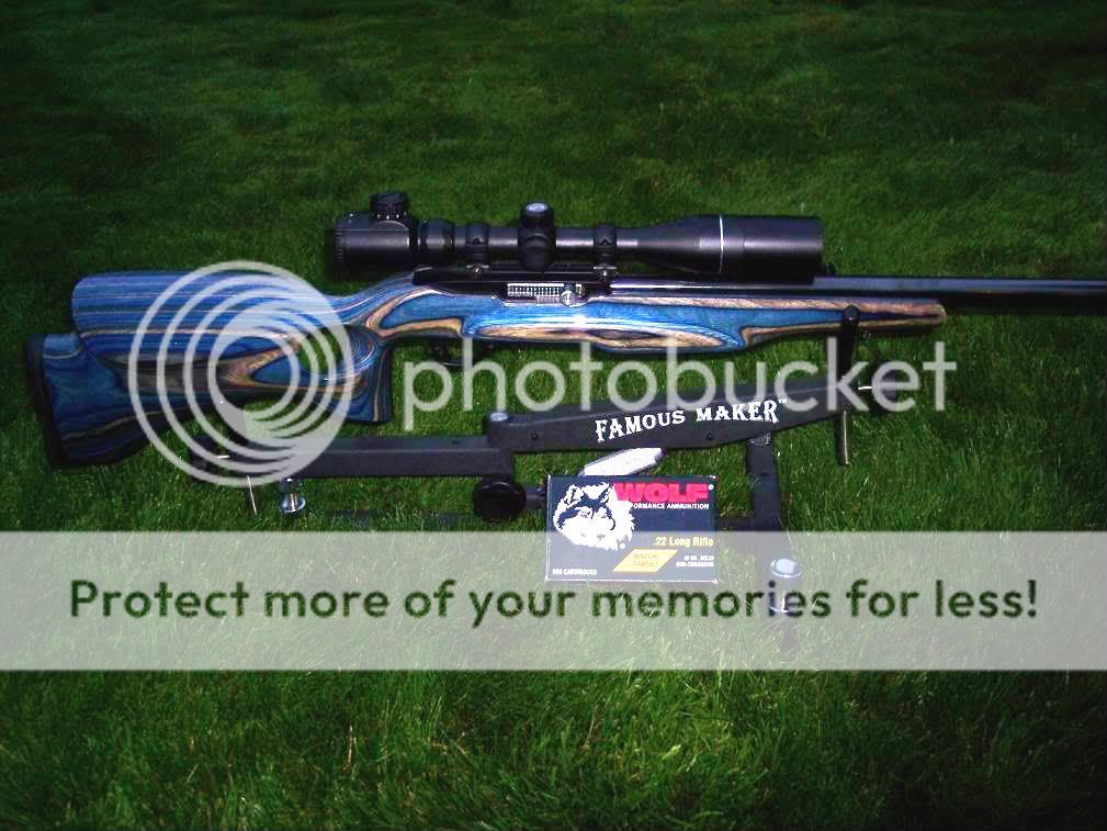 Revolution gun stocks | Rimfire Central Firearm Forum