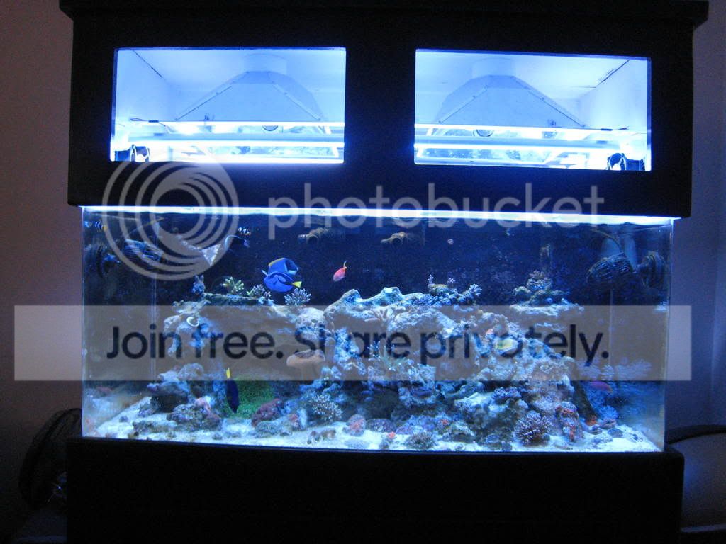 gauging interest 120 tank 4x2x2 tank stand canopy sump and more | Reef ...