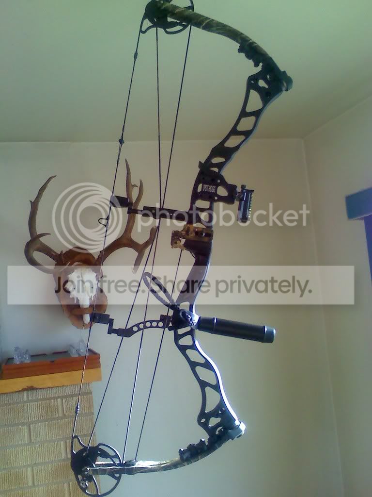 Bottom limb driven limbdriver... | Archery Talk Forum
