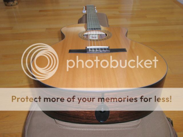 FS: Taylor 2011 Fall Limited NS24ce-LTD (Nylon Series) with Cedar Top ...