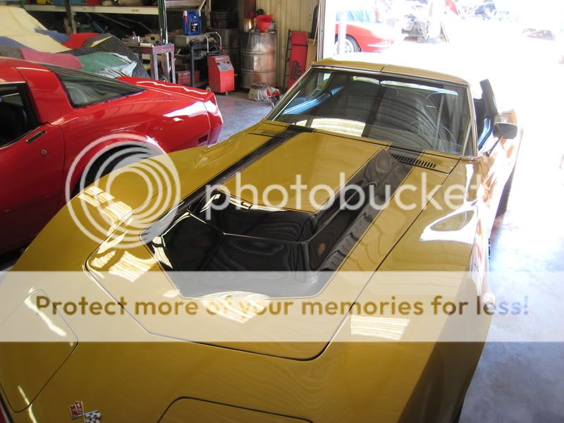 Finally got my L88 hood painted - CorvetteForum - Chevrolet Corvette ...